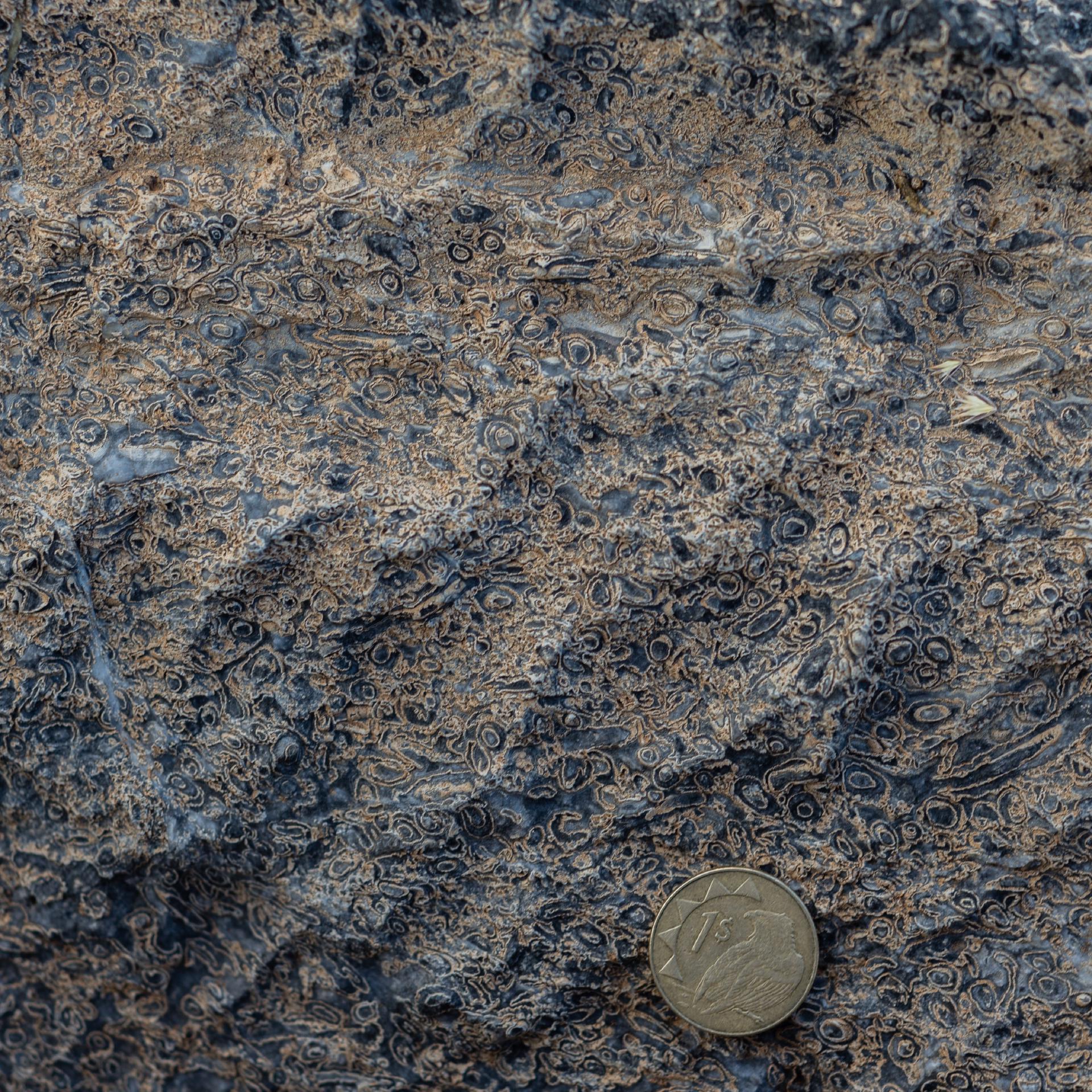 Cloudina | Akshay Mehra